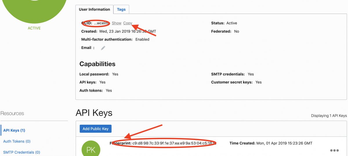Copy files to Oracle OCI cloud object storage from command line ...