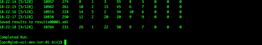 Linux LVM for Oracle Database on OCI – Running in the clouds