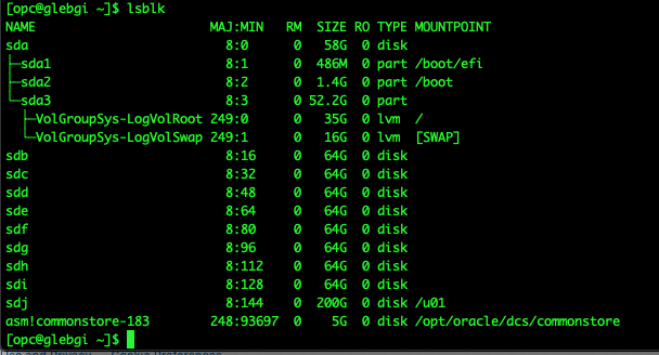 Linux LVM for Oracle Database on OCI – Running in the clouds