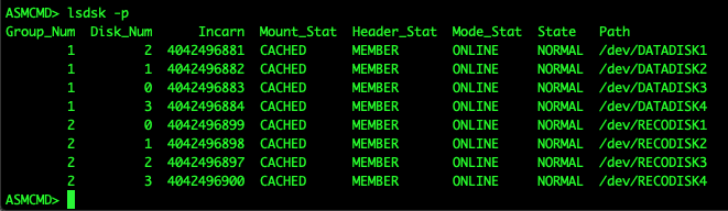 Linux LVM for Oracle Database on OCI – Running in the clouds